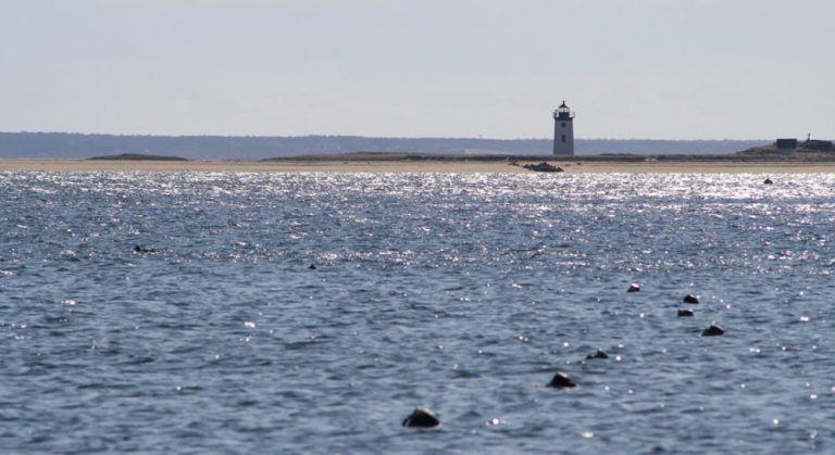 Cape Cod Lighthouses: A Visitors' Guide