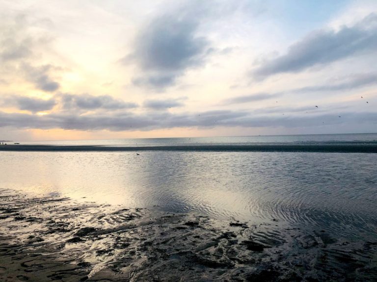 Nickerson State Park: A Visitors' Guide - capebeachdog